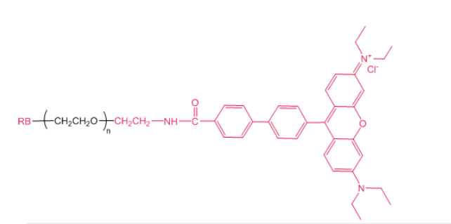 二罗丹明聚乙二醇（Rhodamine-PEG-Rhodamine）